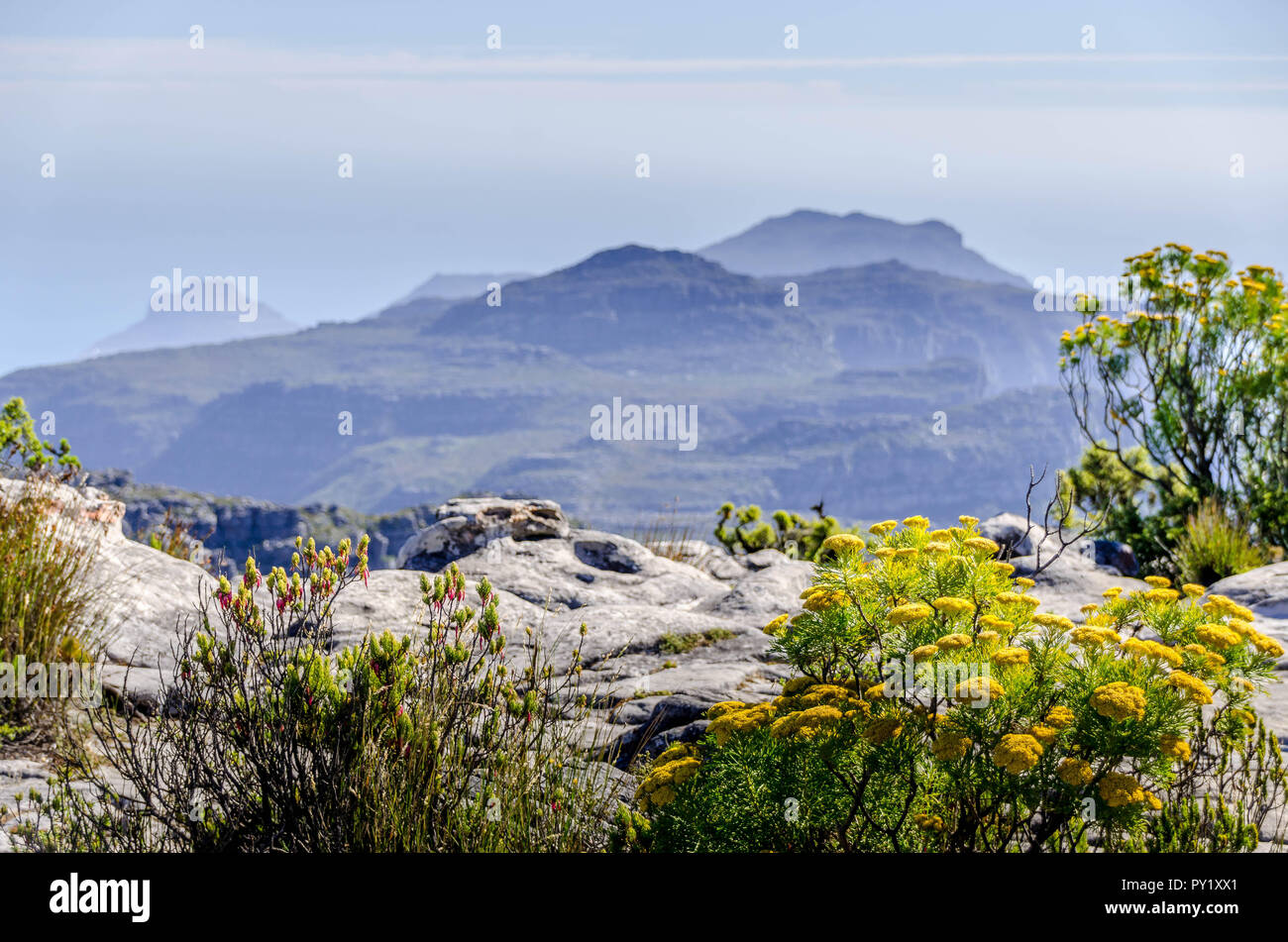 Table Mountain Sunset Hike Stock Photo - Alamy