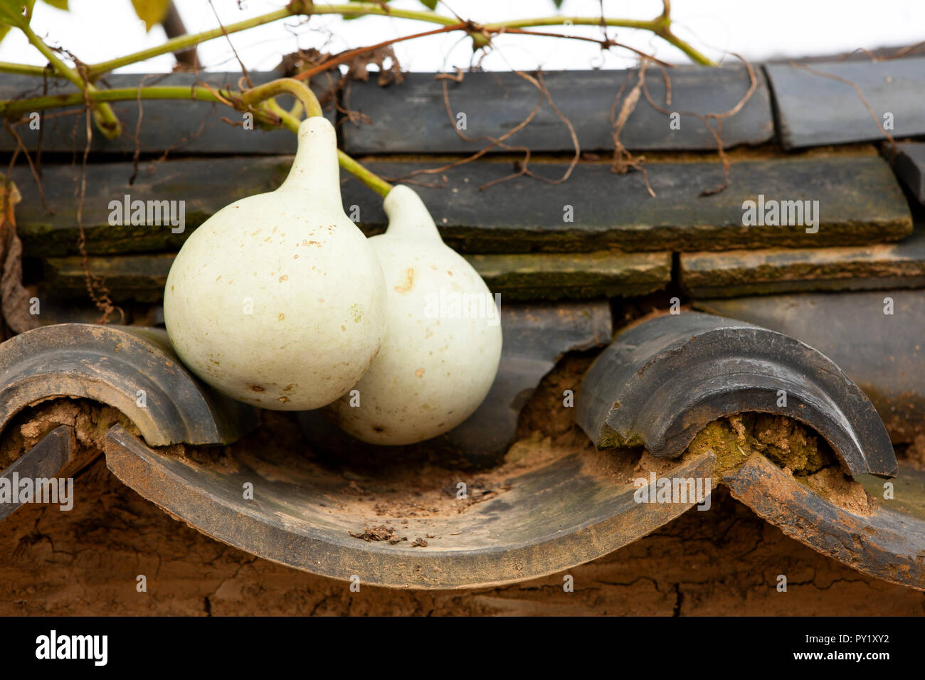 Roofing tile hi-res stock photography and images - Alamy
