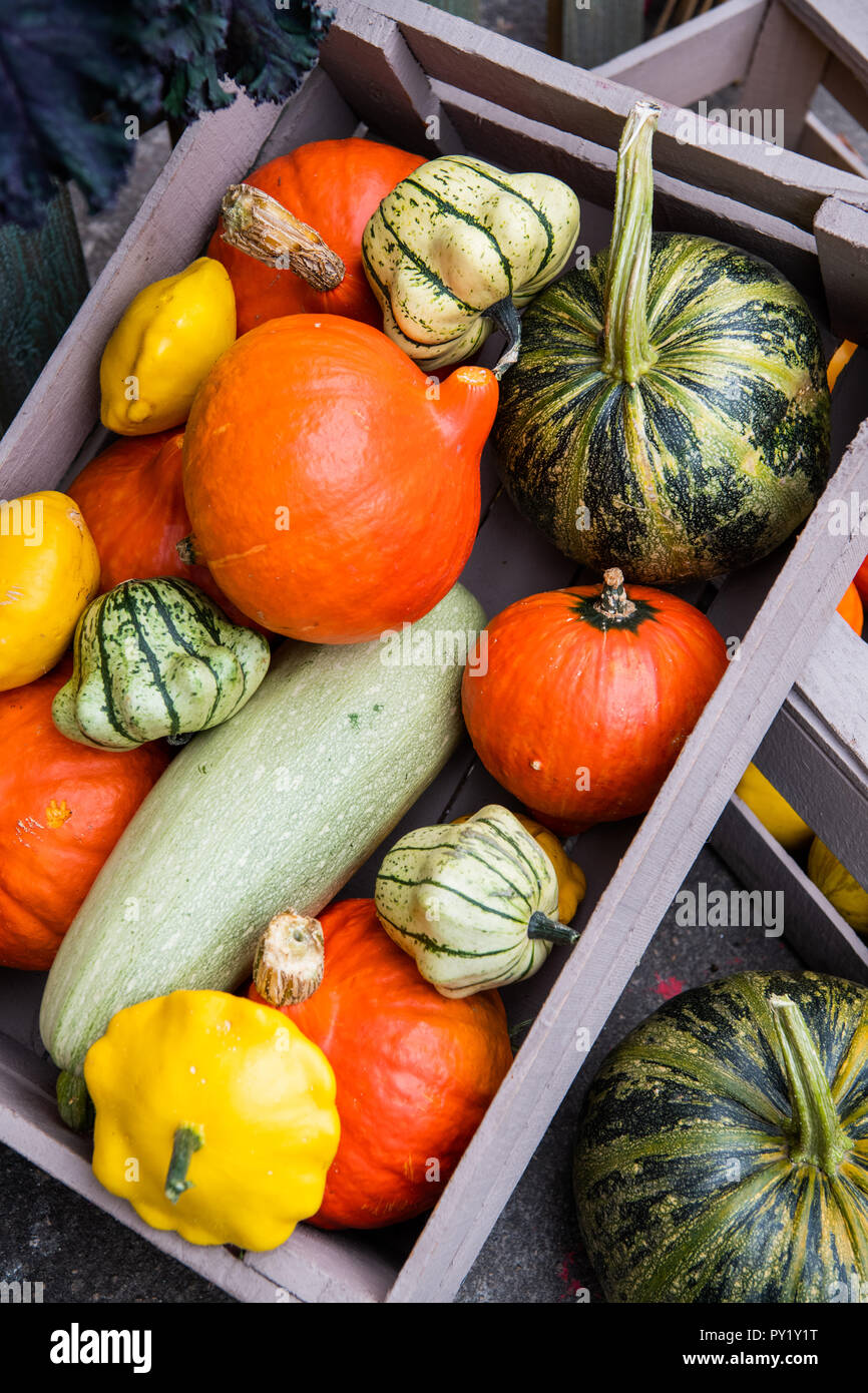 Fresh vegetables in boxes hi-res stock photography and images - Alamy
