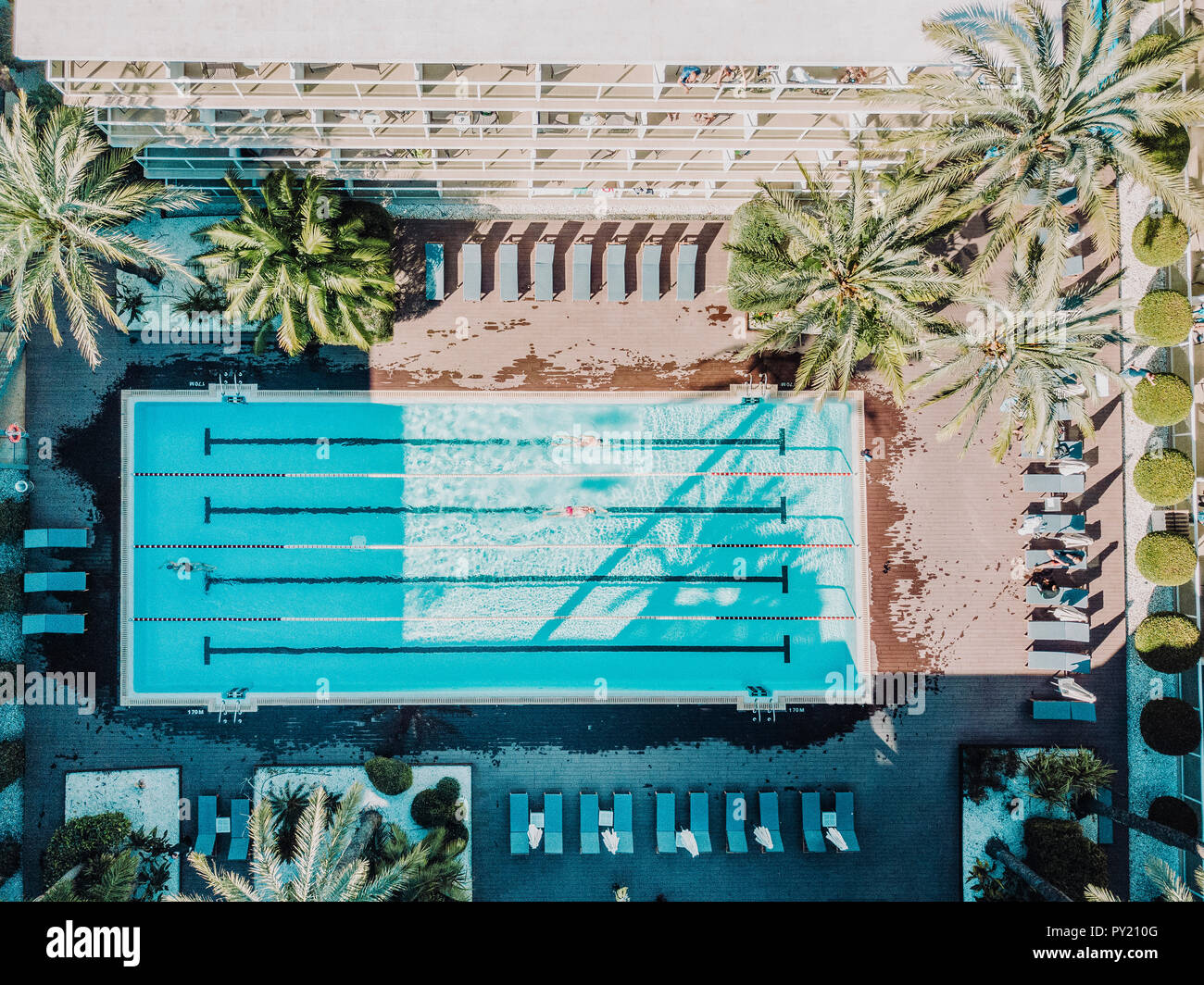 Aerial view of swimmers in hotel swimming pool at daytime, Mallorca ...