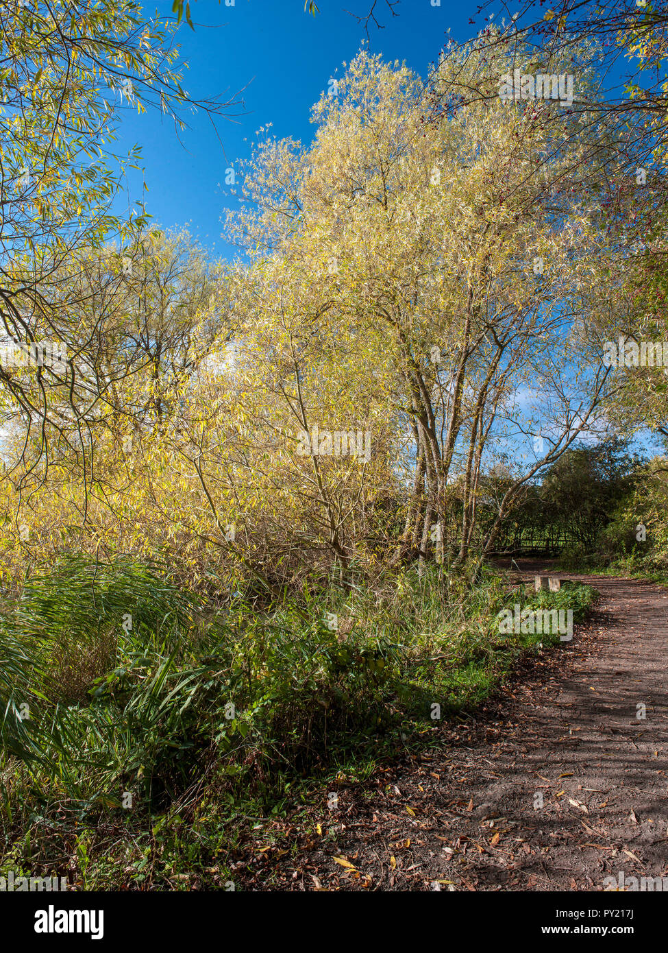 Living location lovely hi-res stock photography and images - Alamy