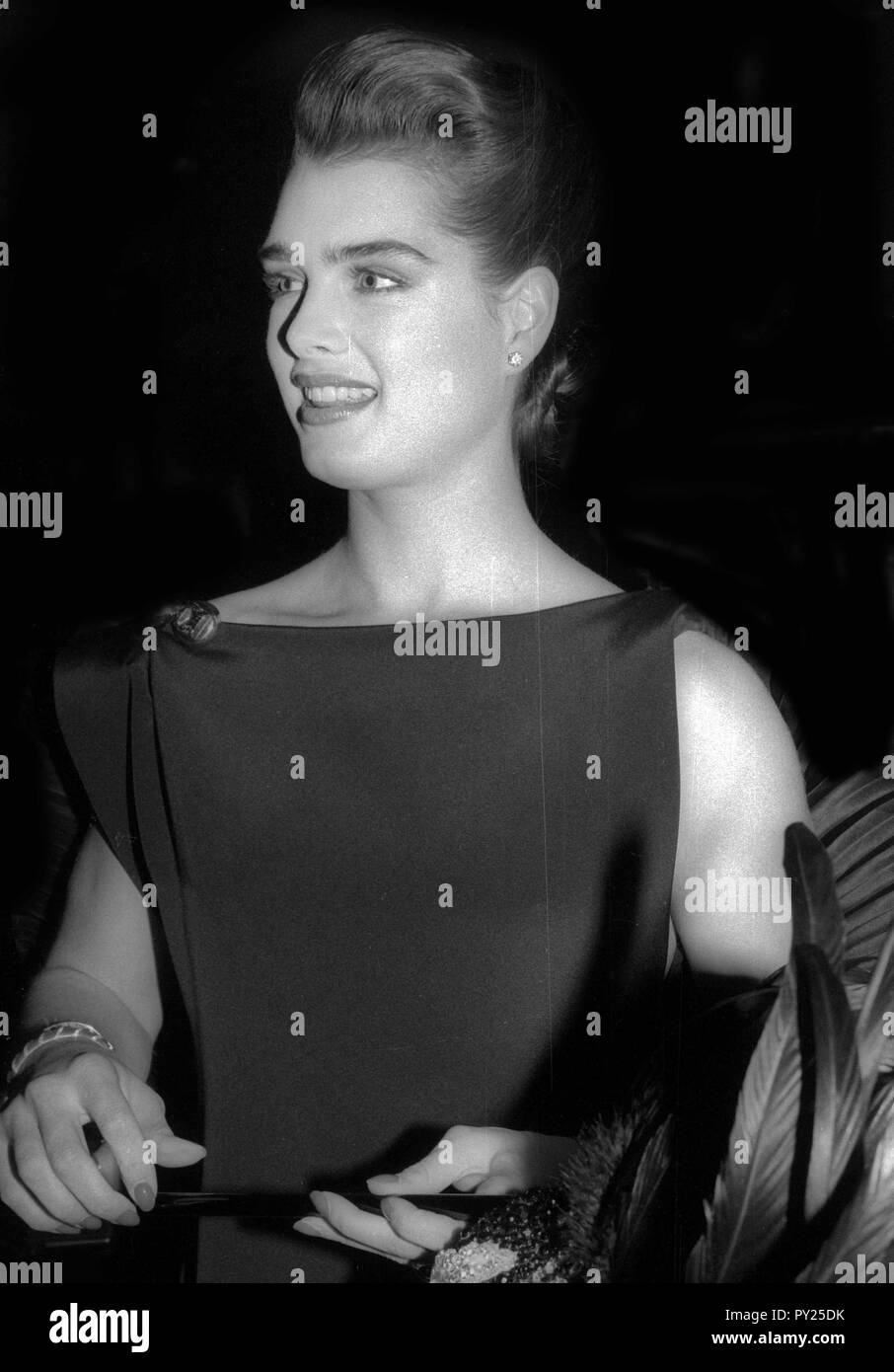 Brooke Shields 1985 Photo By Adam Scull/PHOTOlink.net Stock Photo - Alamy