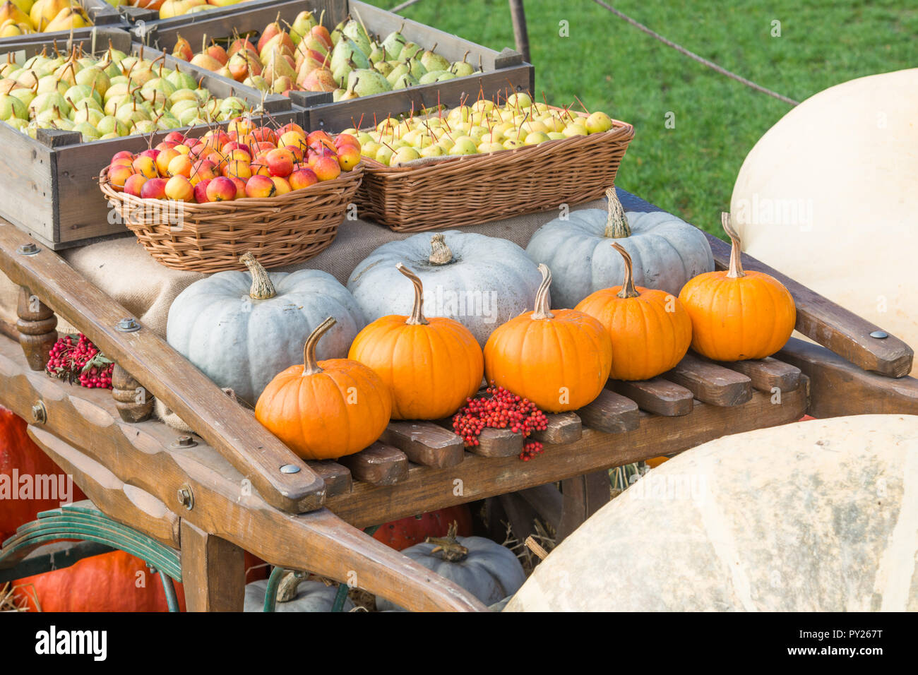 A barrow of apples and pumpkins Stock Photo - Alamy