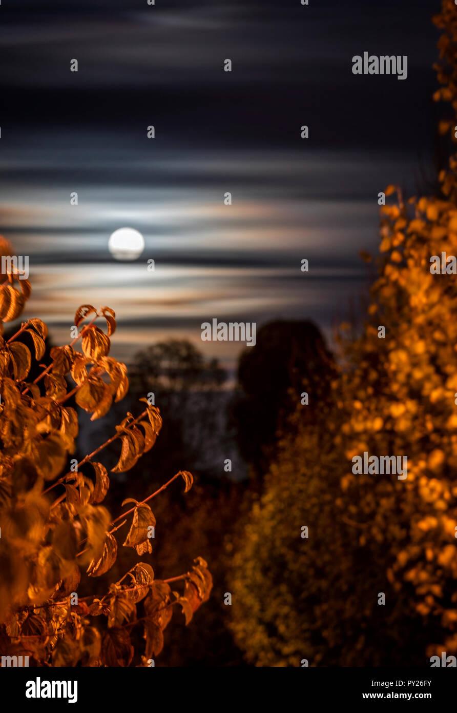 Mid autumn night hi-res stock photography and images - Alamy