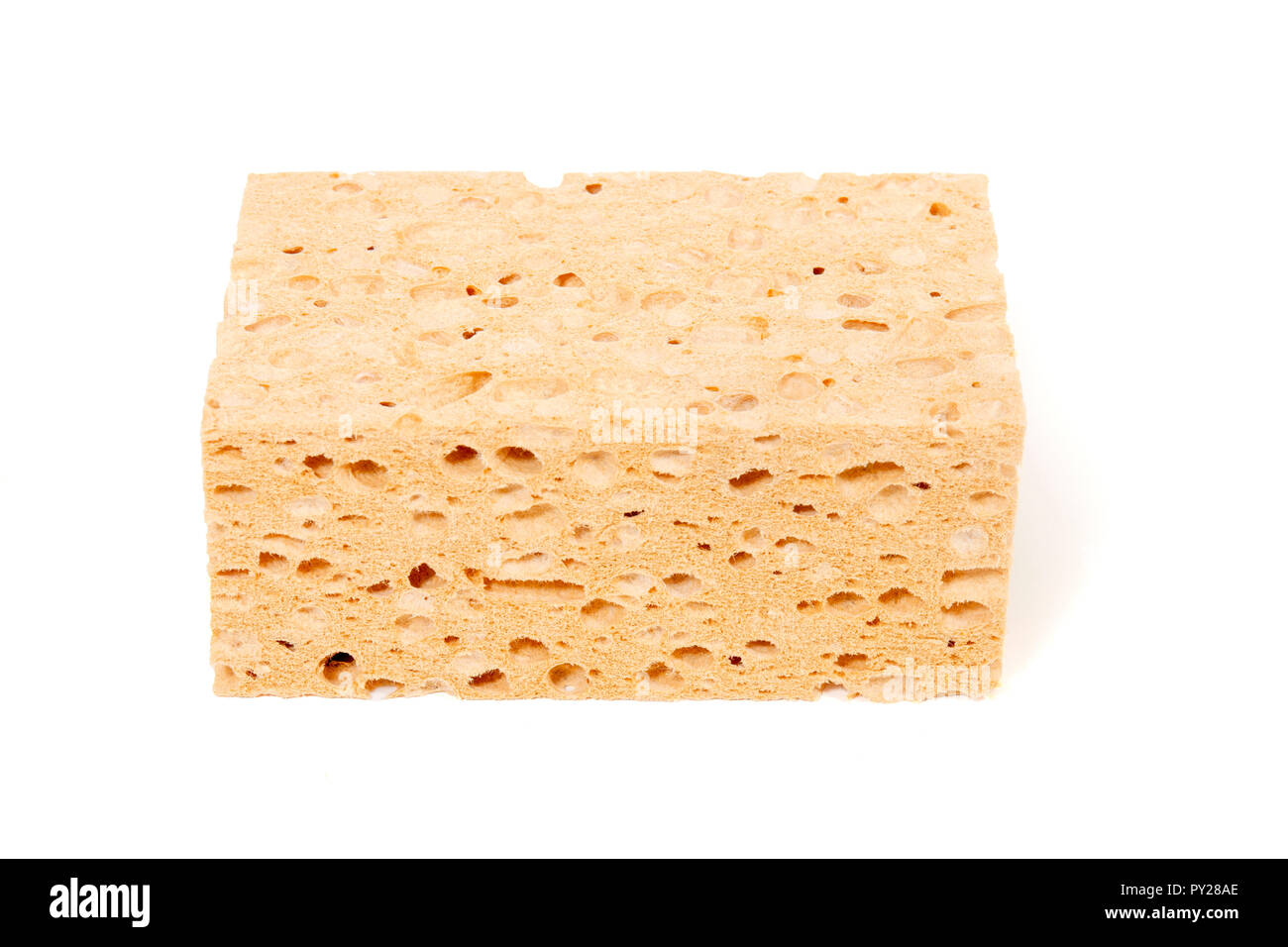 Big porous sponge isolated on white background Stock Photo - Alamy