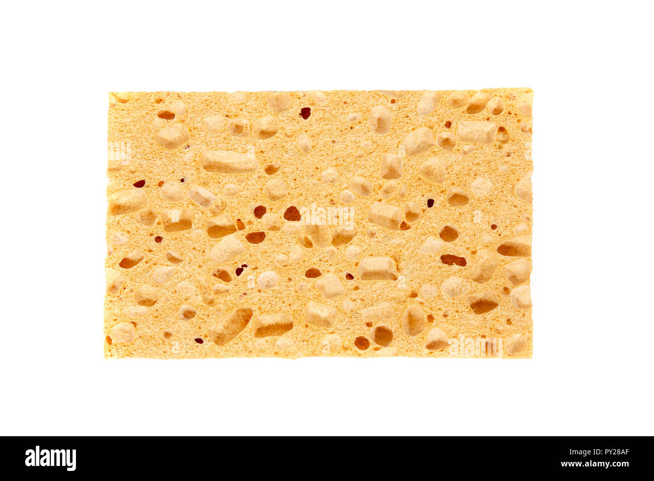 Big porous sponge isolated on white background Stock Photo - Alamy