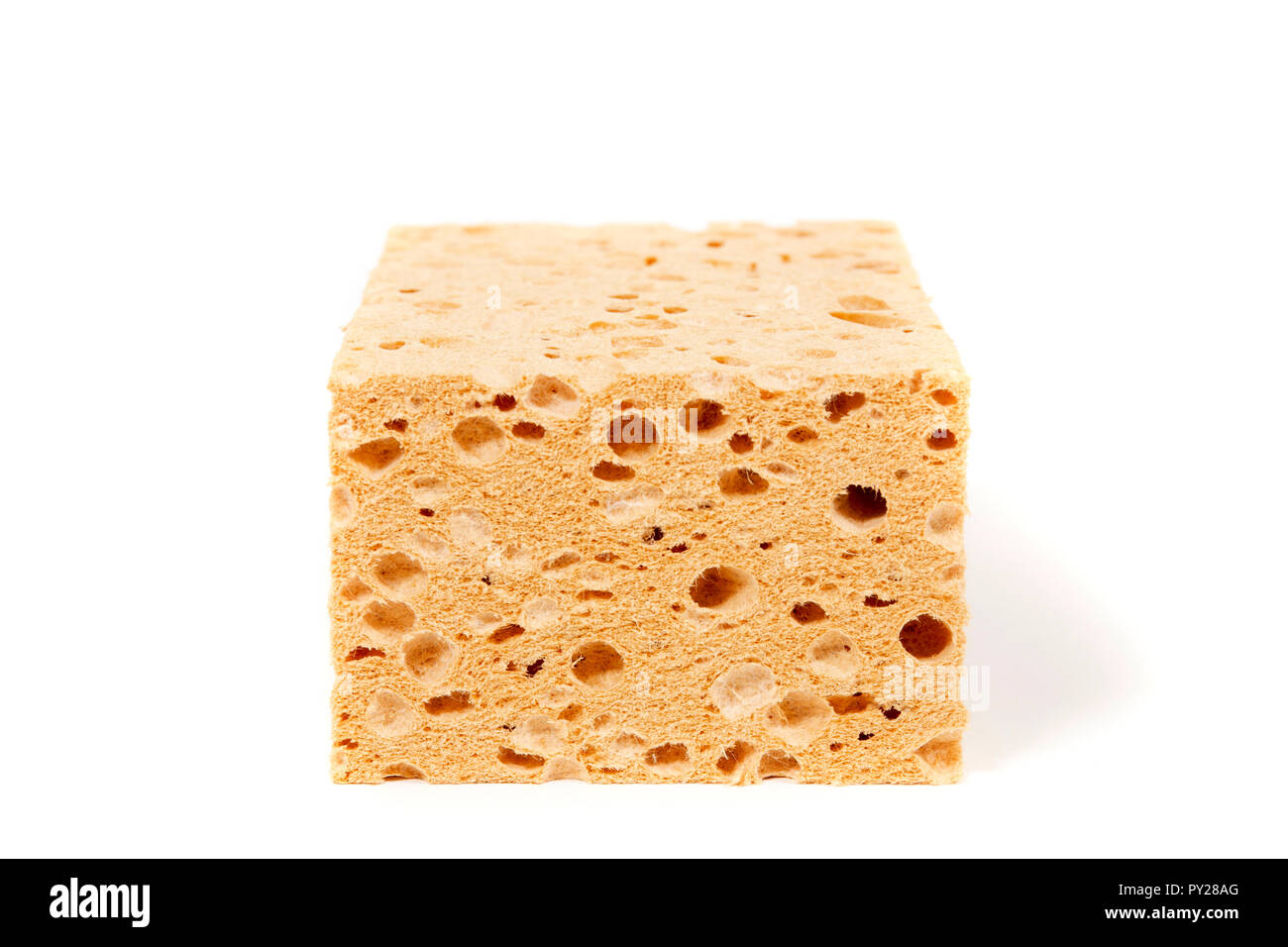 Big porous sponge isolated on white background Stock Photo - Alamy