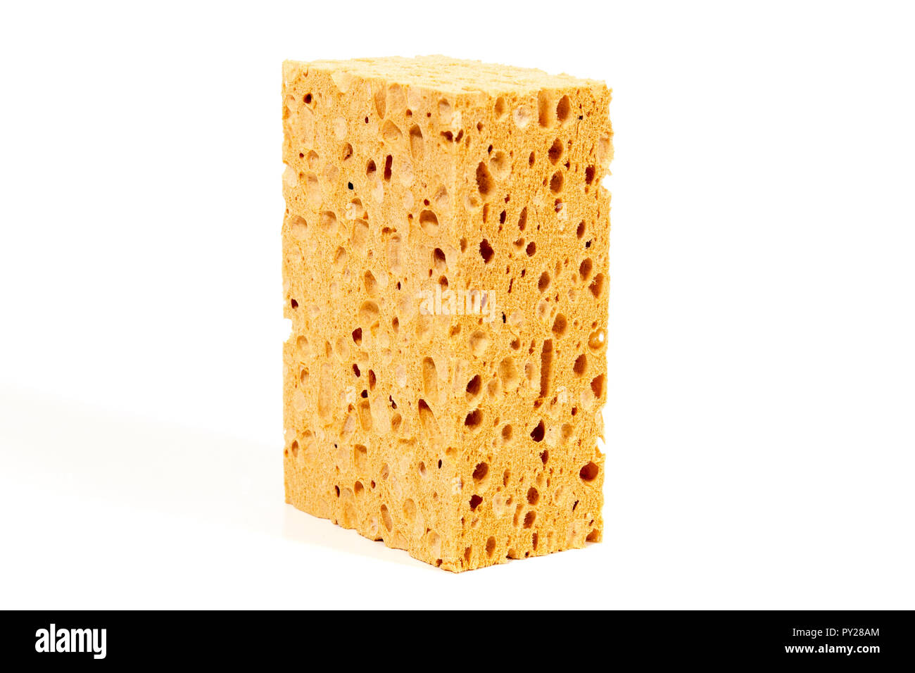 Big porous sponge isolated on white background Stock Photo - Alamy