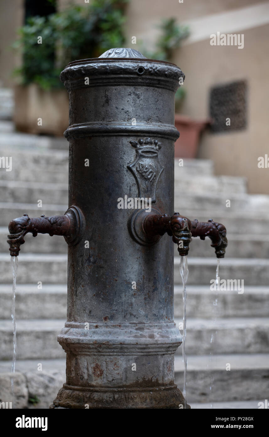 Nasoni hi-res stock photography and images - Alamy