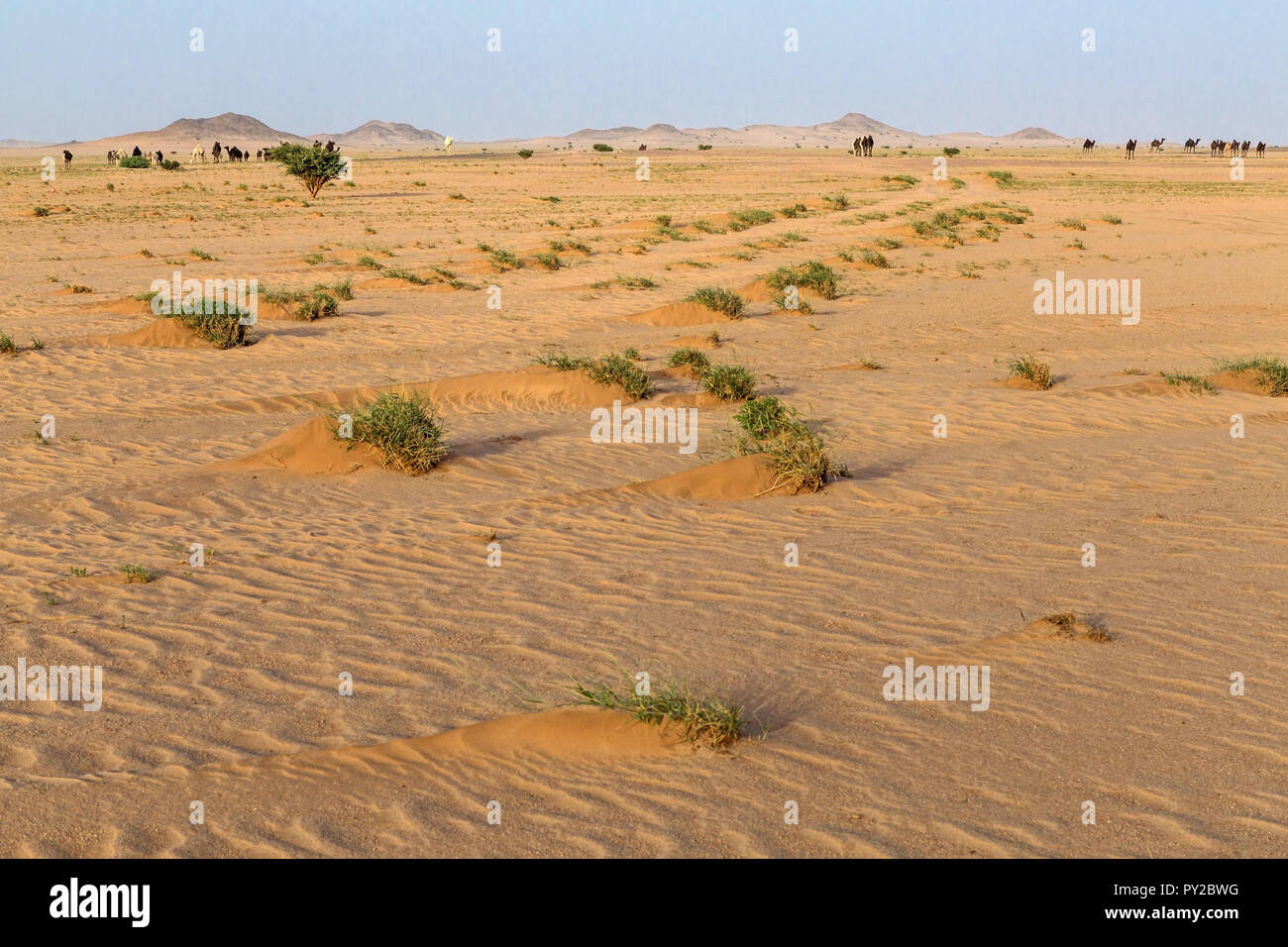 Desert landscape, Saudi Arabia Stock Photo - Alamy