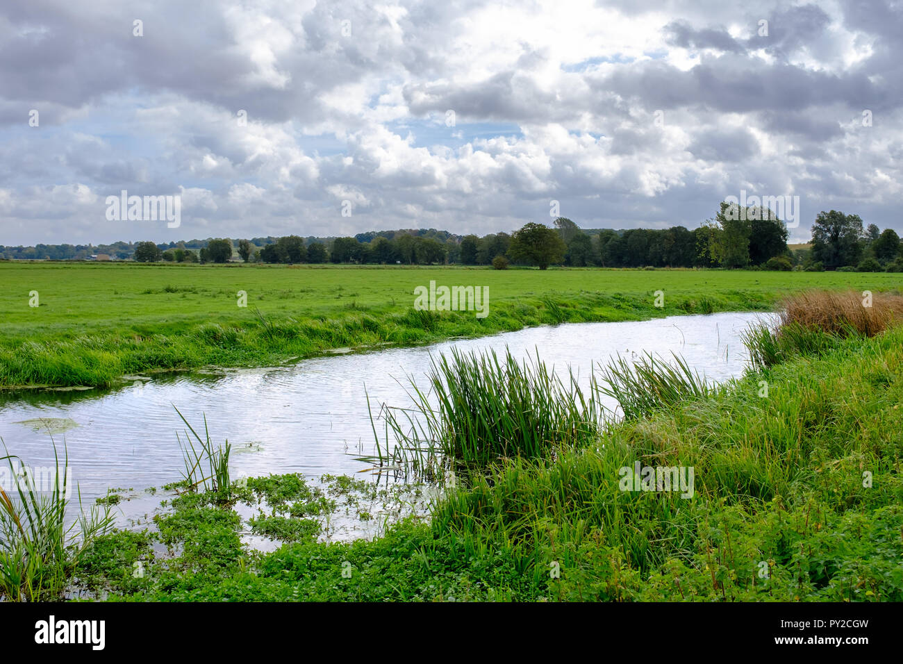 View across Norfolk flat wetland habitat with clouds on typical English ...