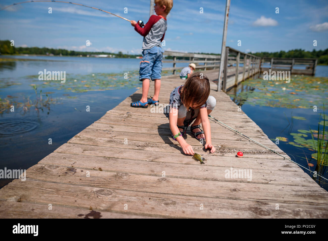 Three children fishing on a dock in the summer, United States Stock ...