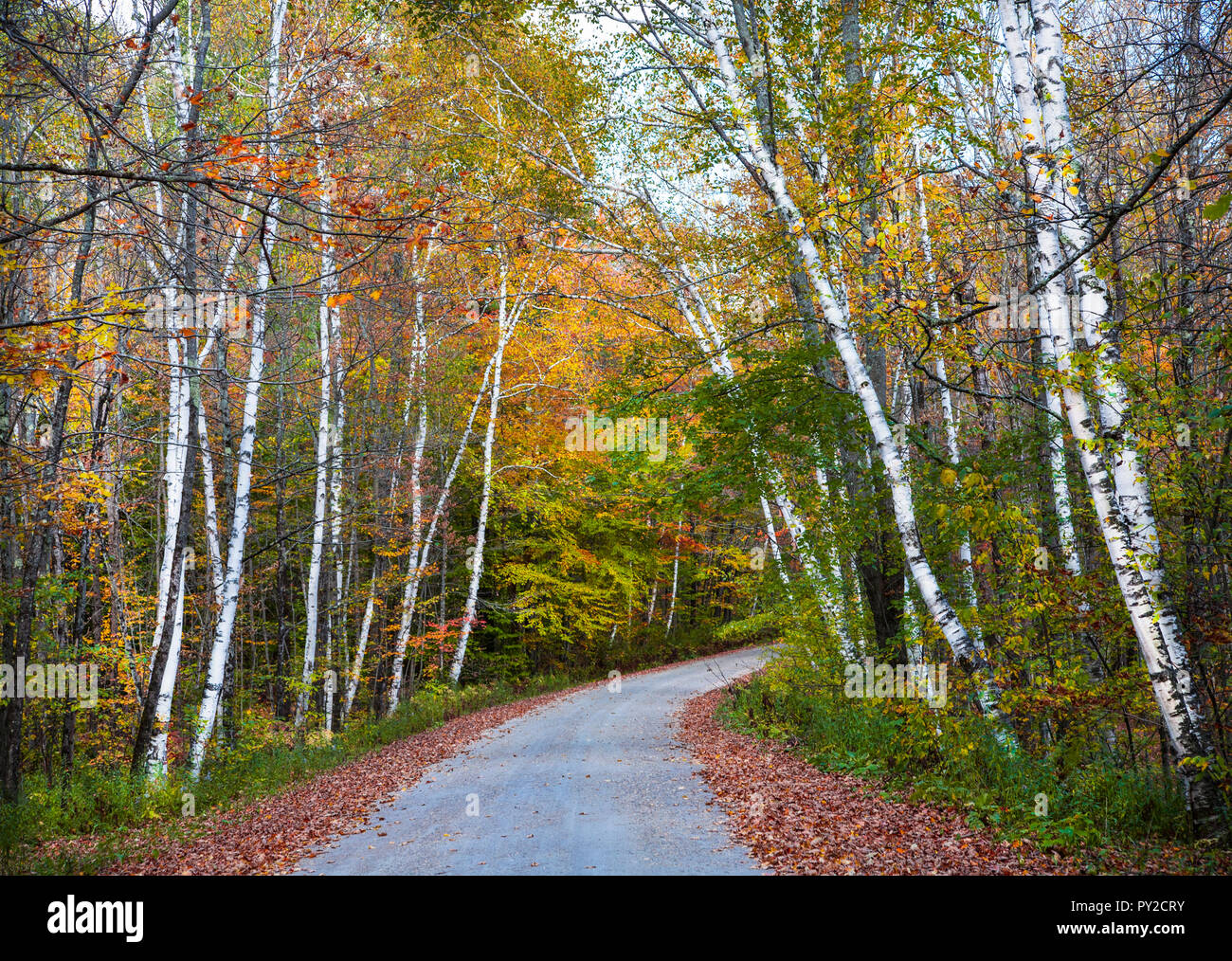 Green mountain national forest, vermont hi-res stock photography and ...