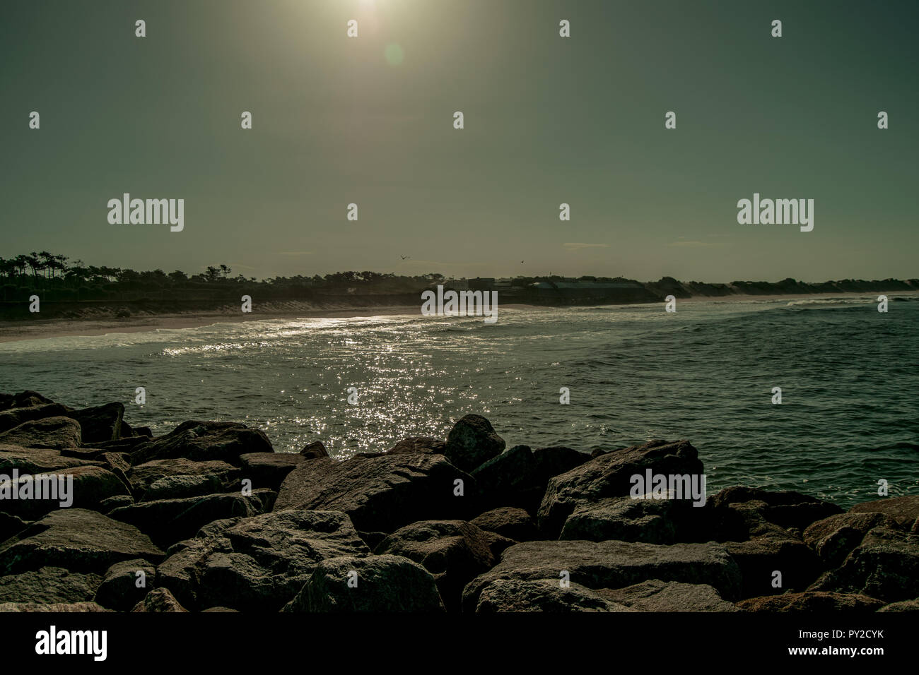 Ofir Beach High Resolution Stock Photography and Images - Alamy