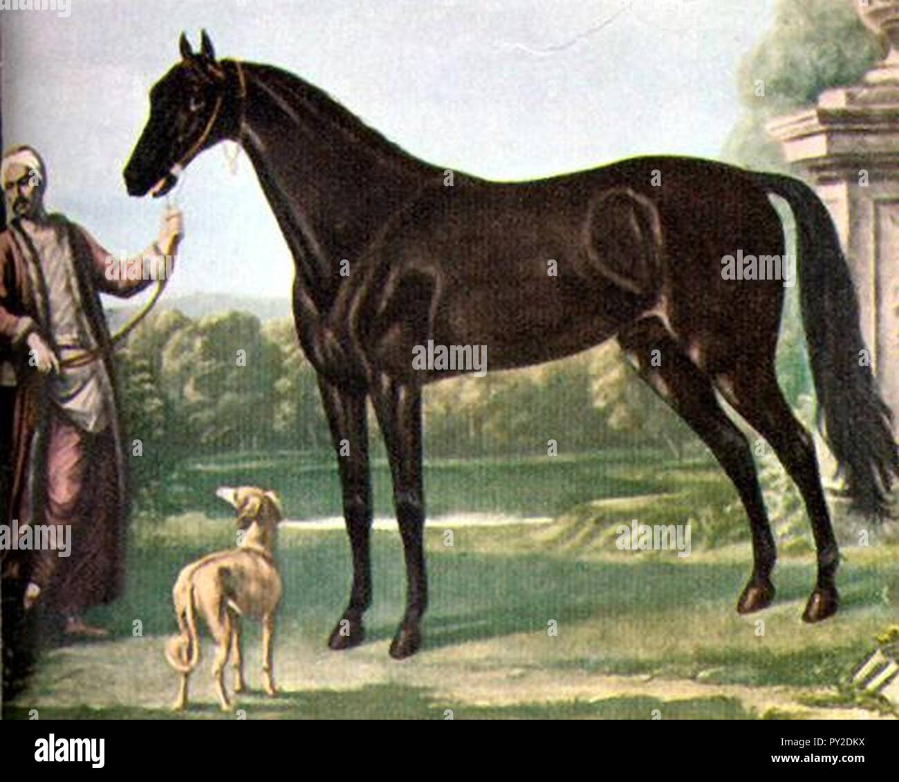 Byerly hi-res stock photography and images - Alamy