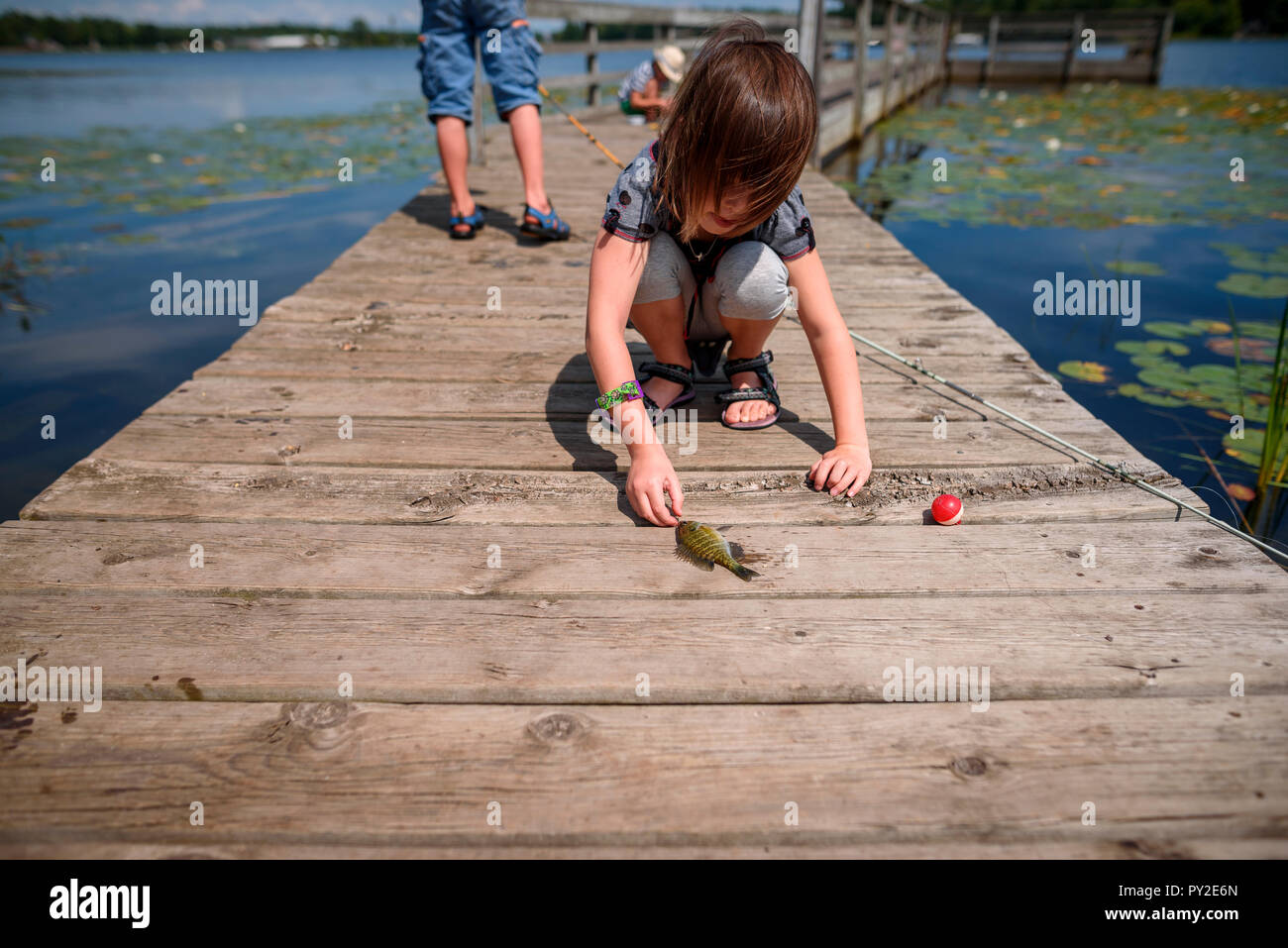 Three children fishing on a dock in the summer, United States Stock ...