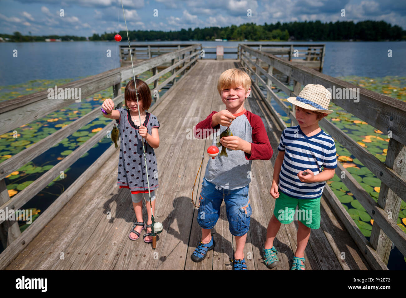Three cute fish hi-res stock photography and images - Alamy
