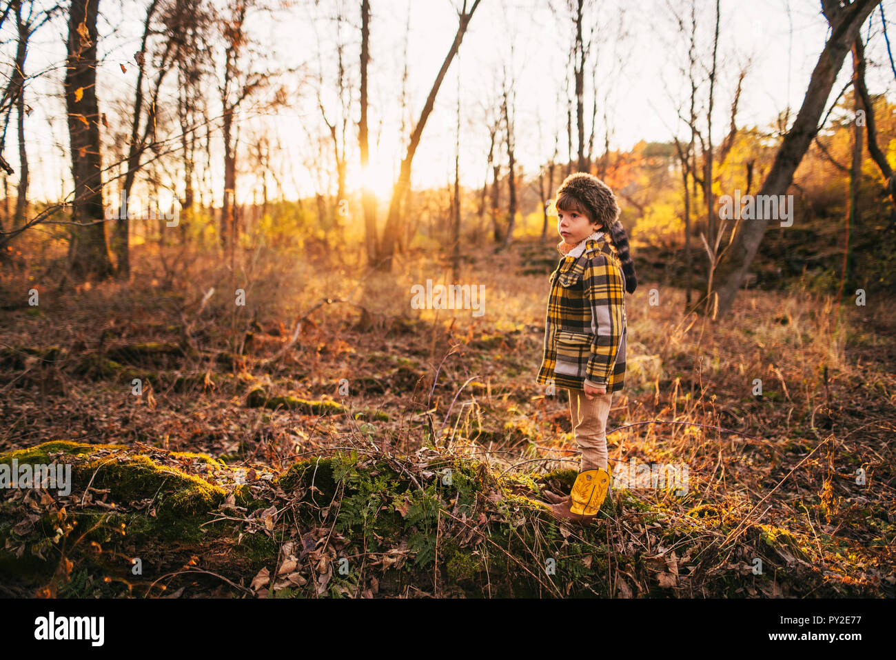 Boy standing in the woods in autumn, United States Stock Photo - Alamy