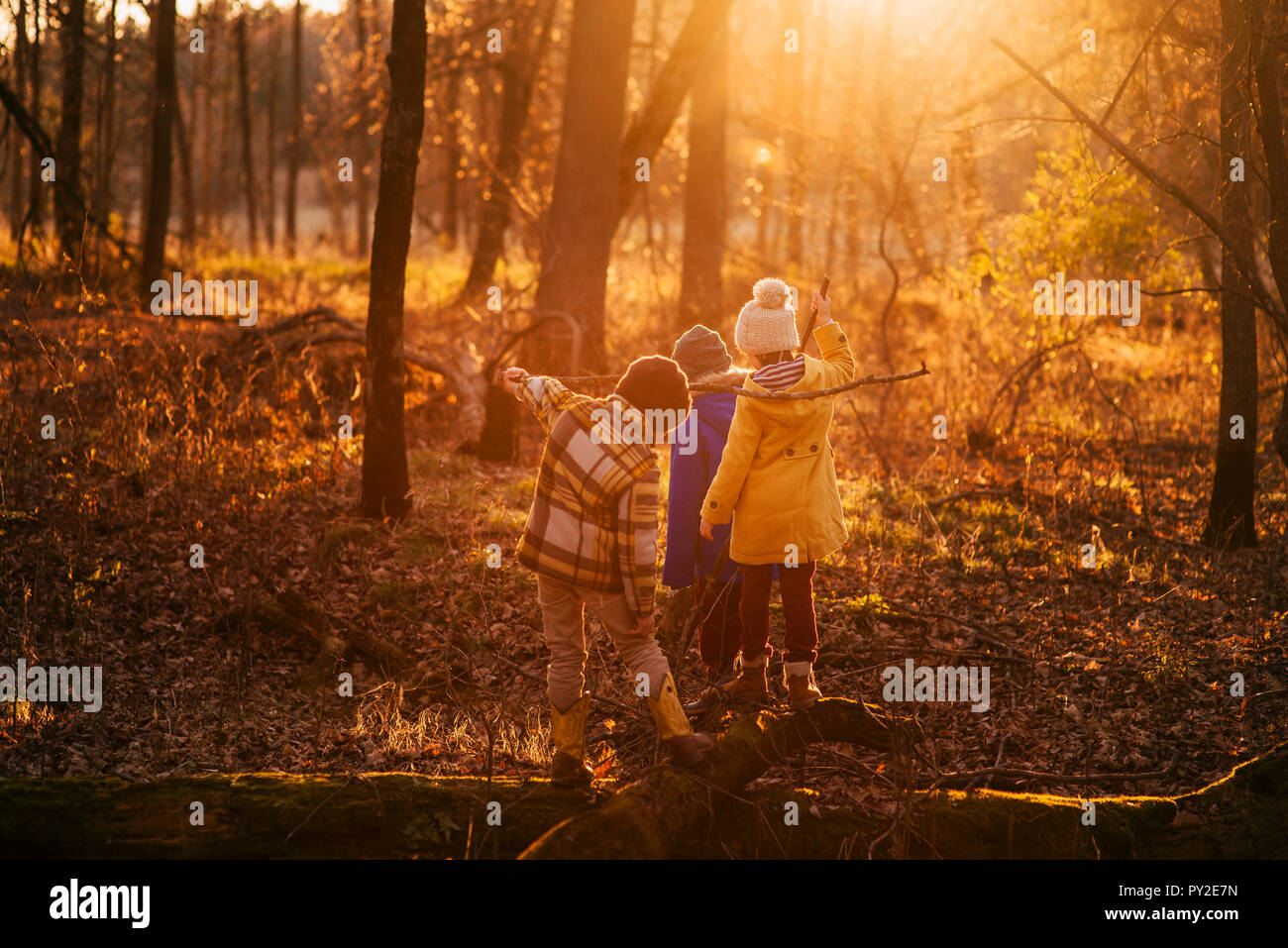 Children playing in the woods hi-res stock photography and images - Alamy