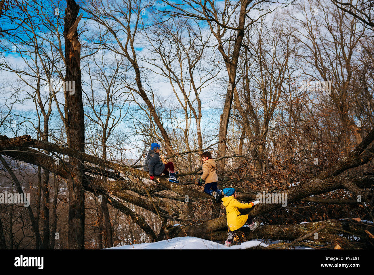 Three children playing in the woods, United States Stock Photo - Alamy