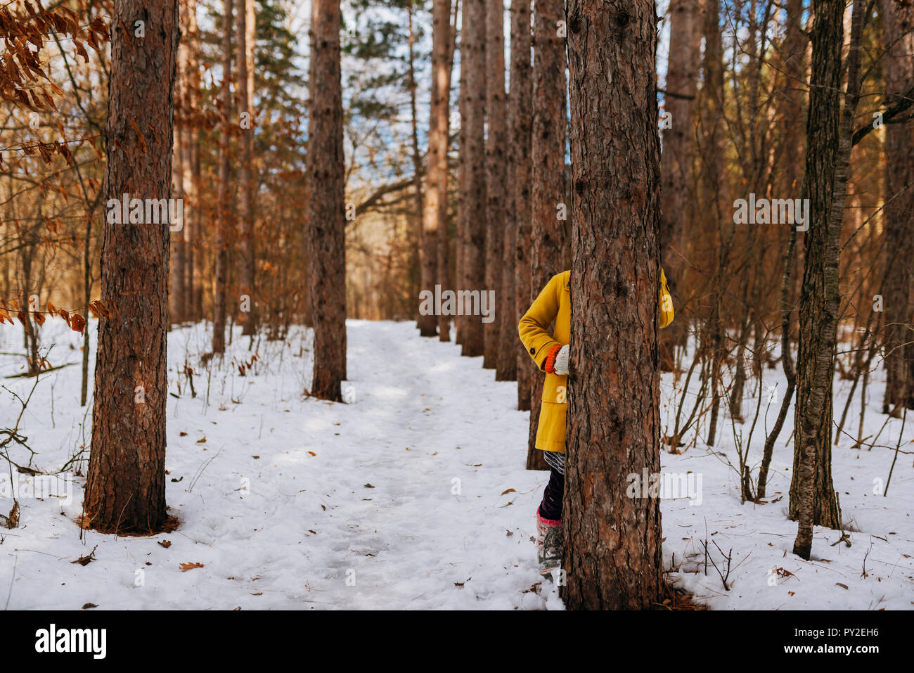 Person hiding behind a tree hi-res stock photography and images - Alamy