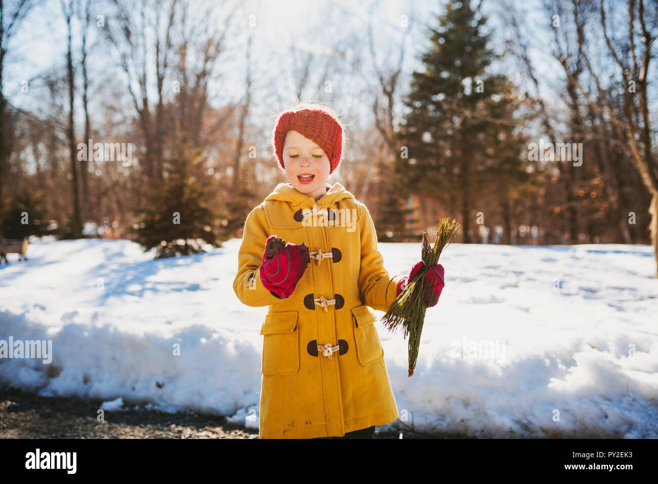 Girl collecting twigs, United States Stock Photo - Alamy