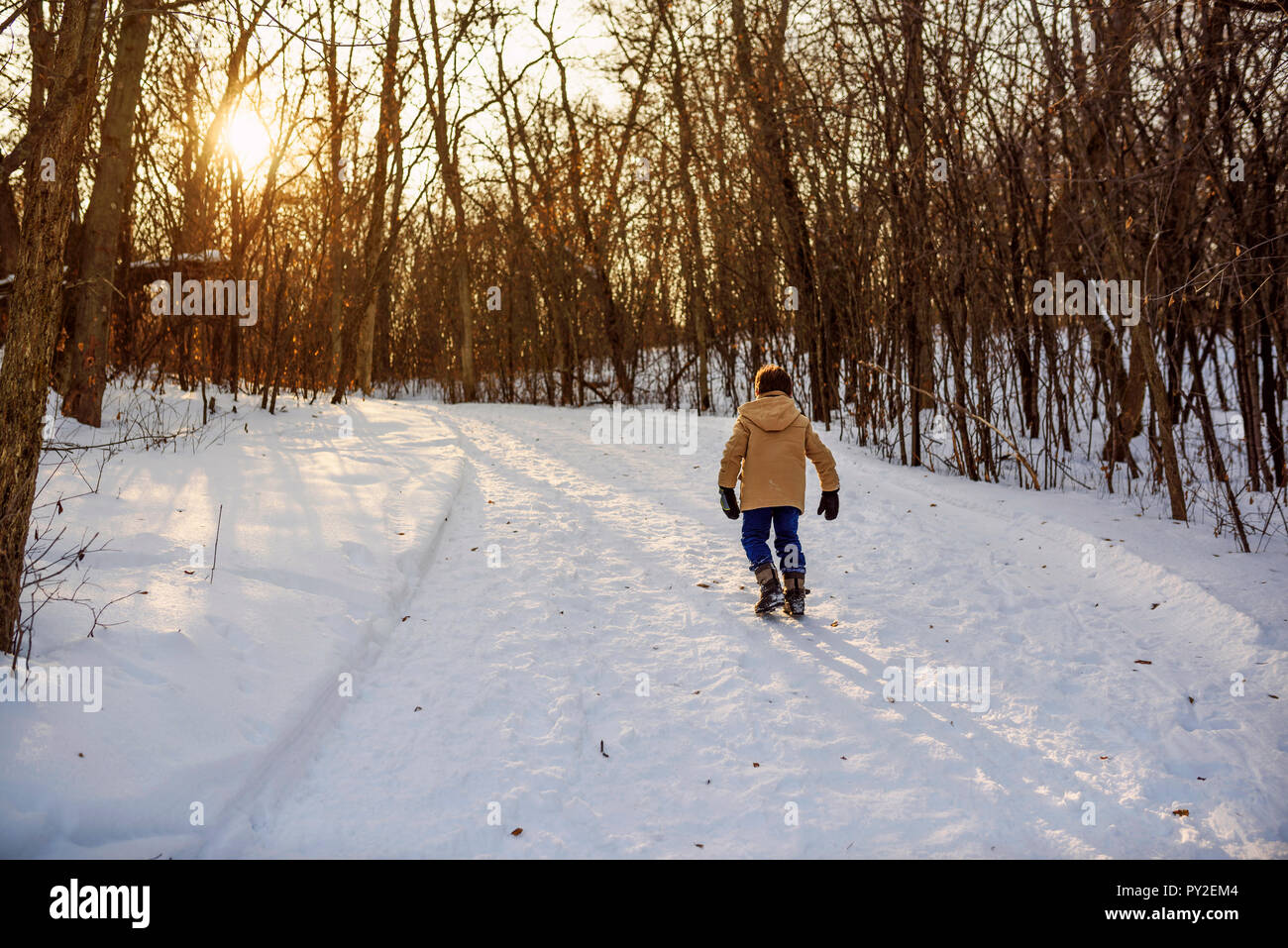 Walking through winter forest hi-res stock photography and images - Alamy