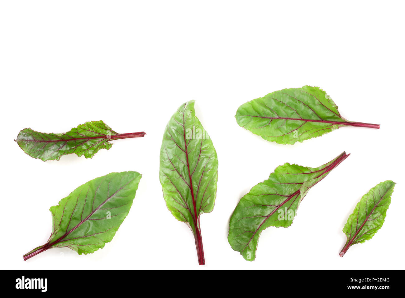 fresh beet leaf isolated on white background. Top view. Flat lay ...