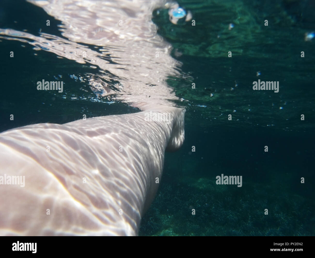 A woman's leg underwater in the sea, Malta Stock Photo - Alamy