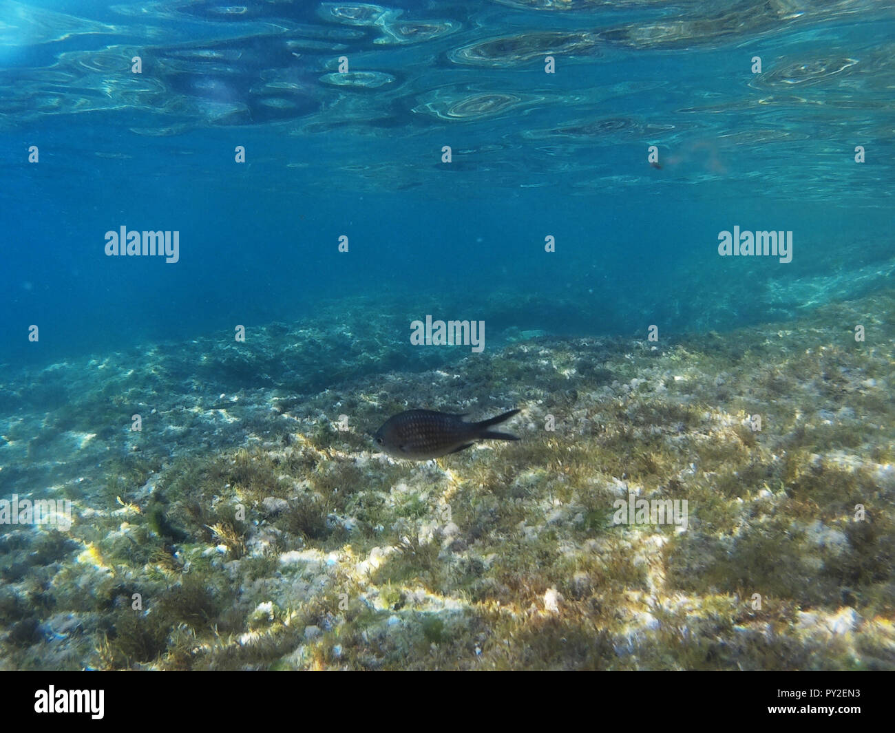 Bugibba life hi-res stock photography and images - Alamy