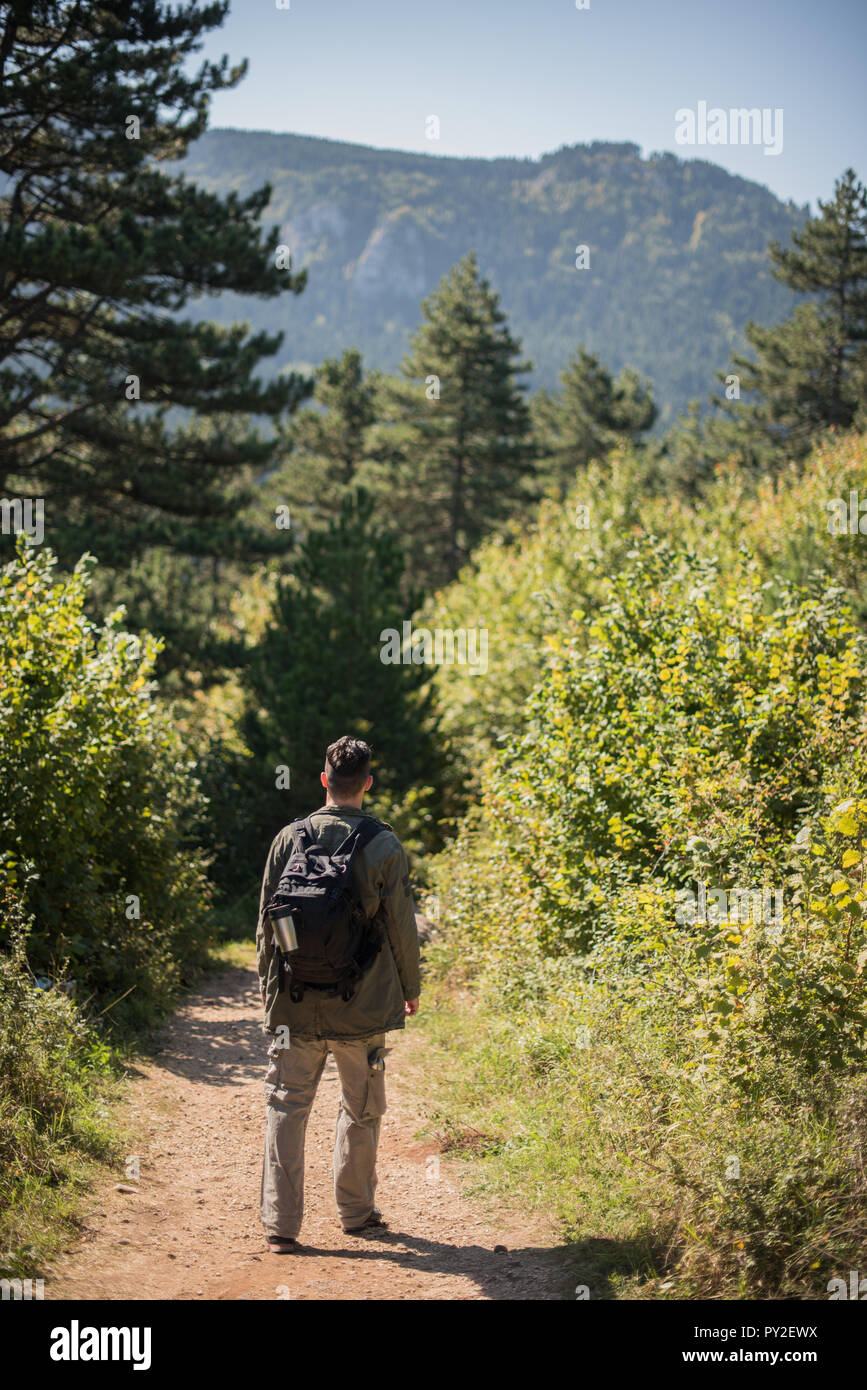 Man walking in the forest hi-res stock photography and images - Alamy