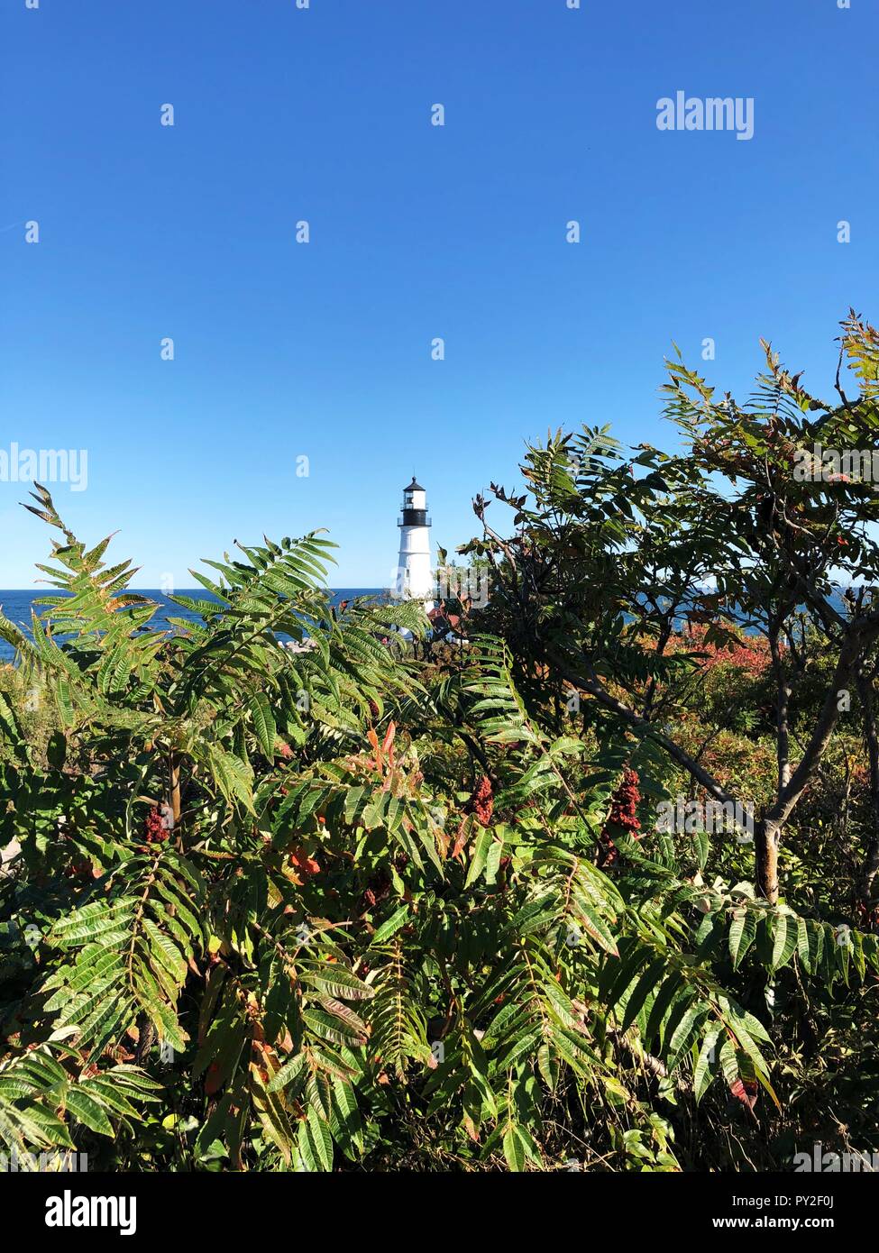 Elizabeth device hi-res stock photography and images - Alamy