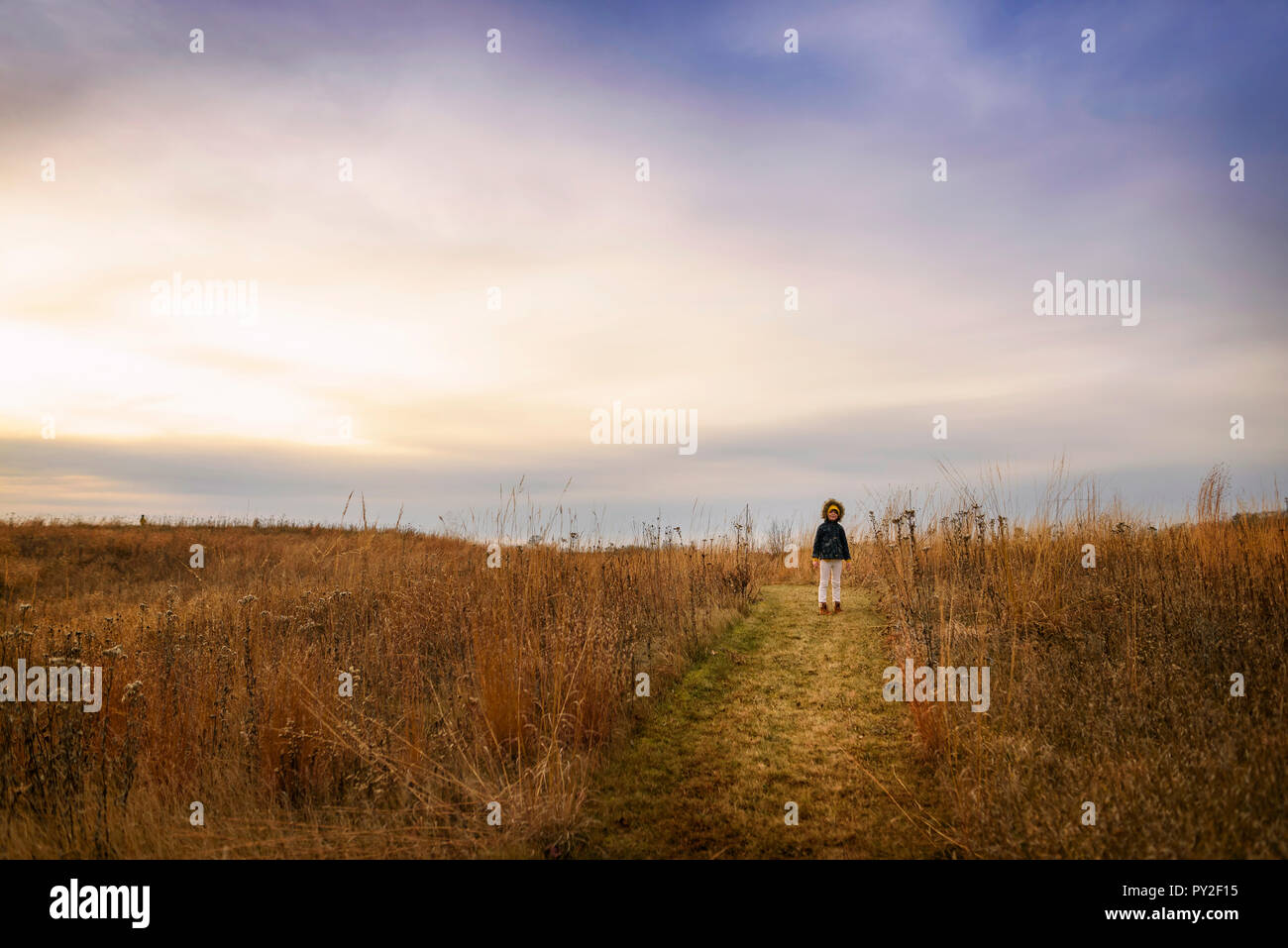 Girl walking in a field, United States Stock Photo - Alamy