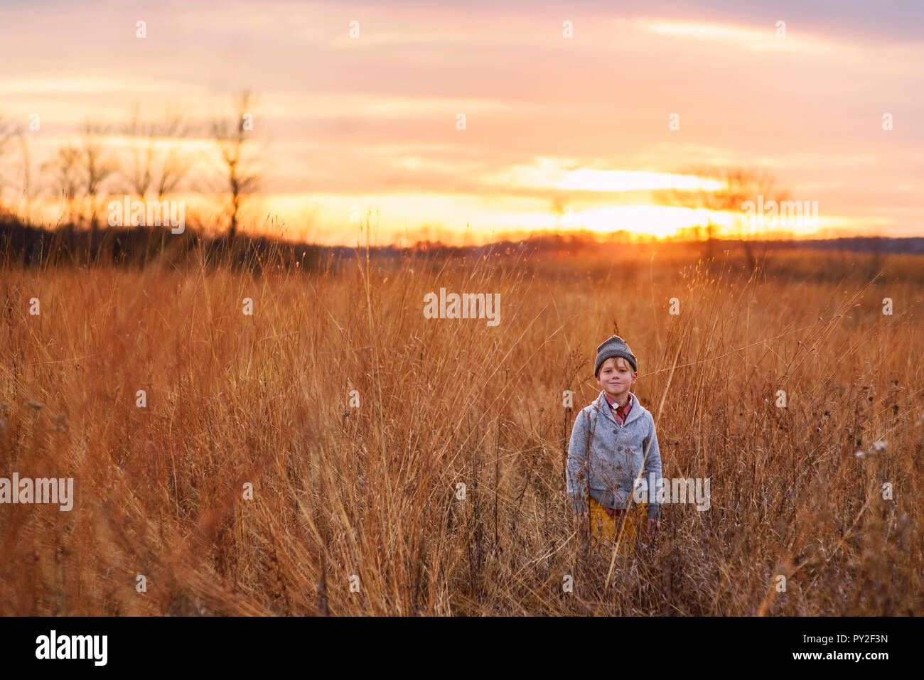 Boy standing in a field at sunset, United States Stock Photo - Alamy