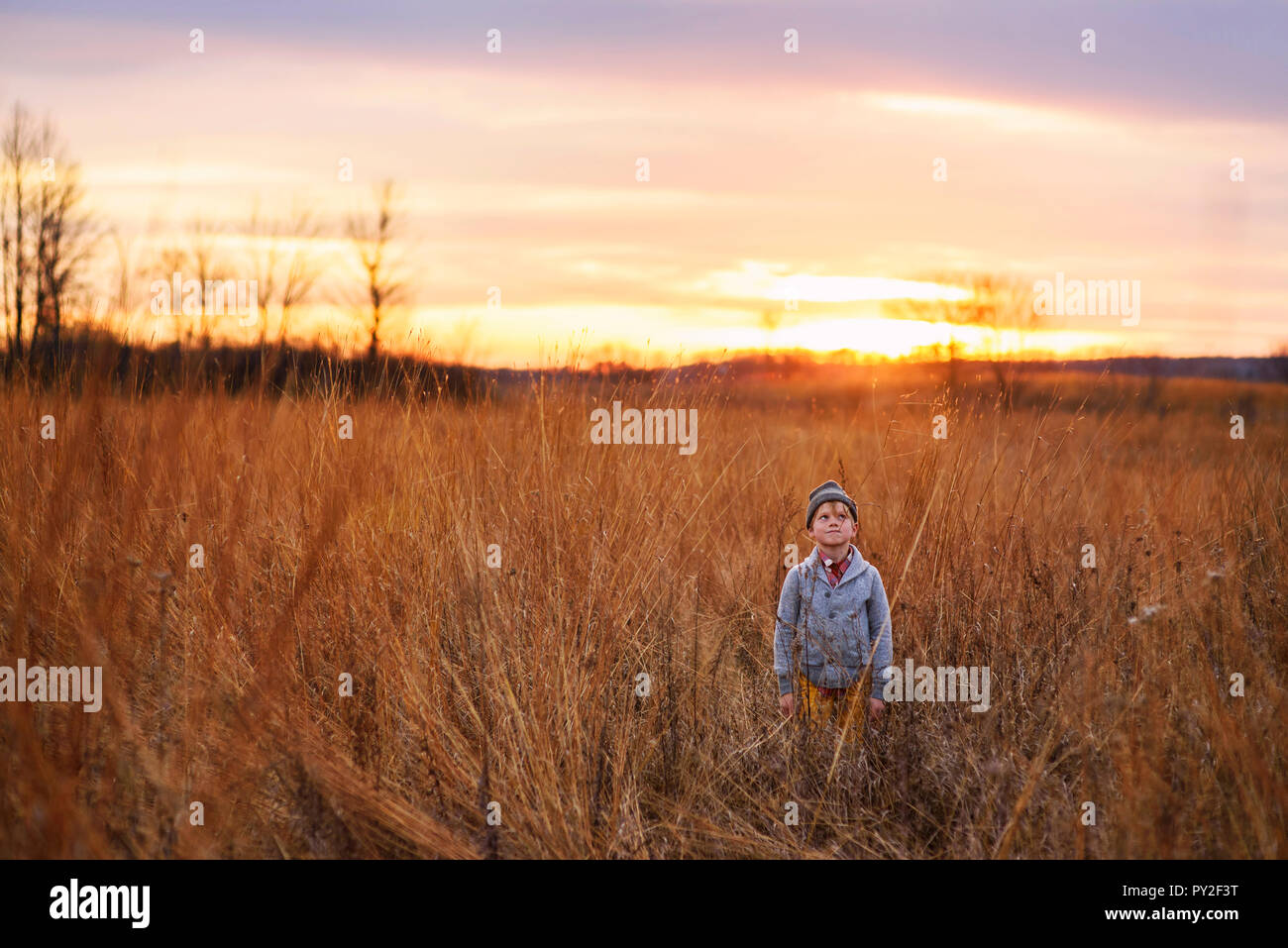 Boy standing in a field at sunset, United States Stock Photo - Alamy