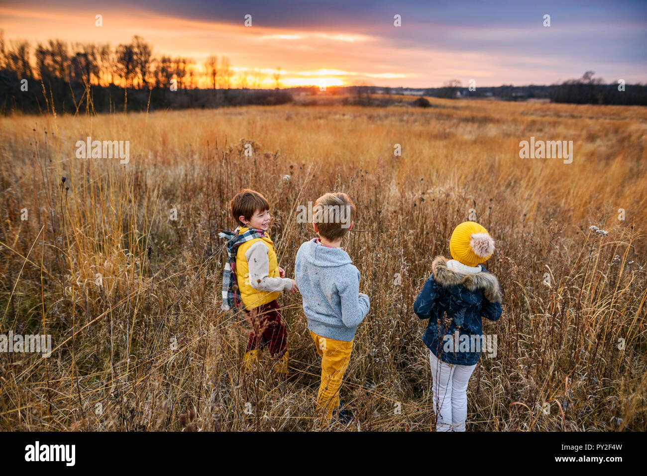 Three children standing in a field at sunset, United States Stock Photo ...