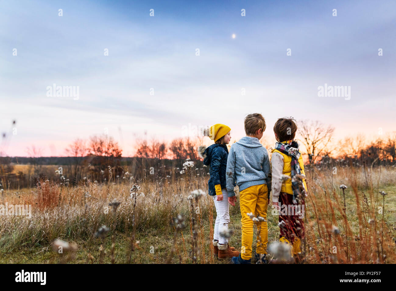 Three children standing in a field at sunset, United States Stock Photo ...