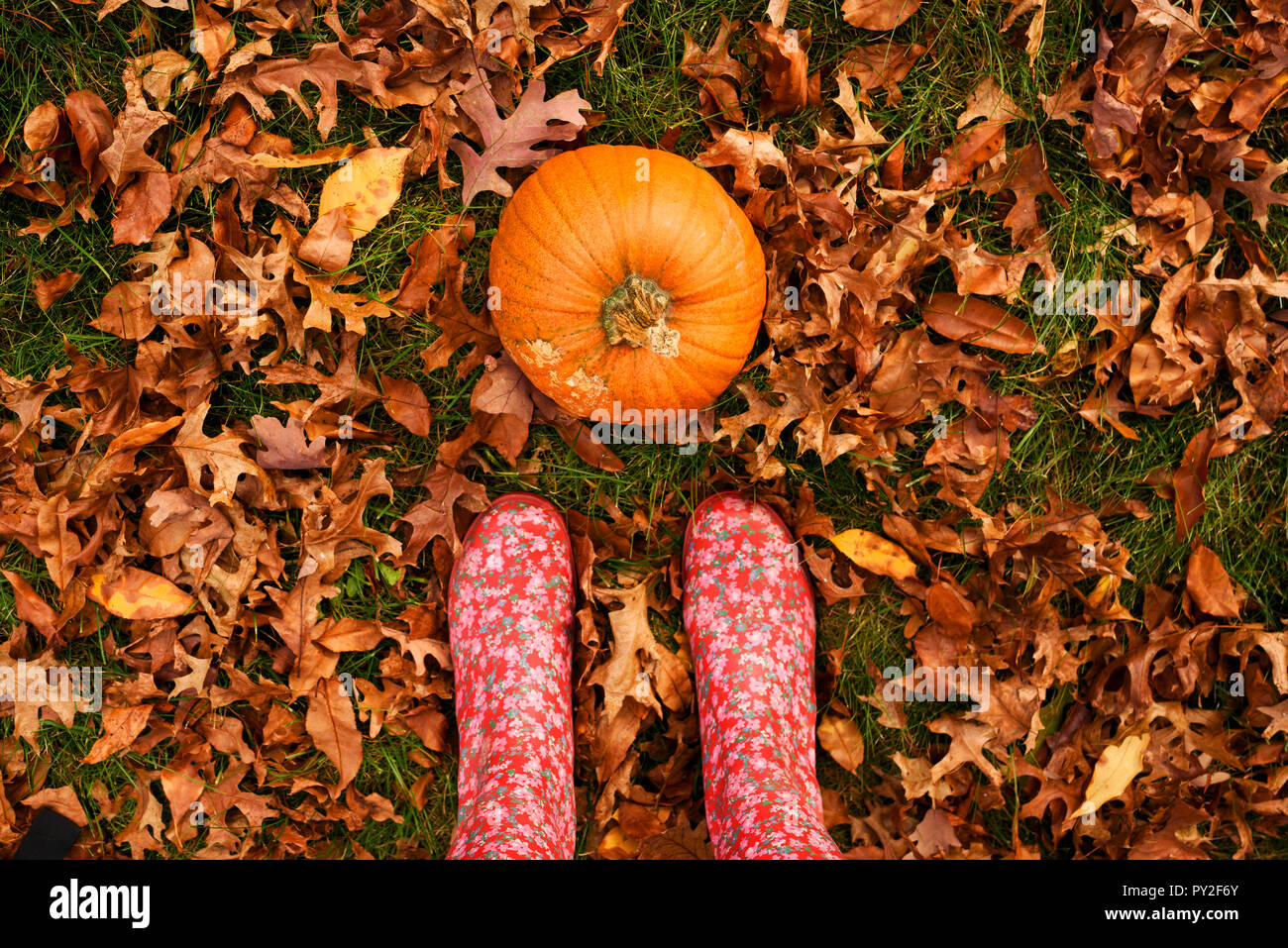 Overhead view of a woman's feet standing next to a pumpkin, United ...