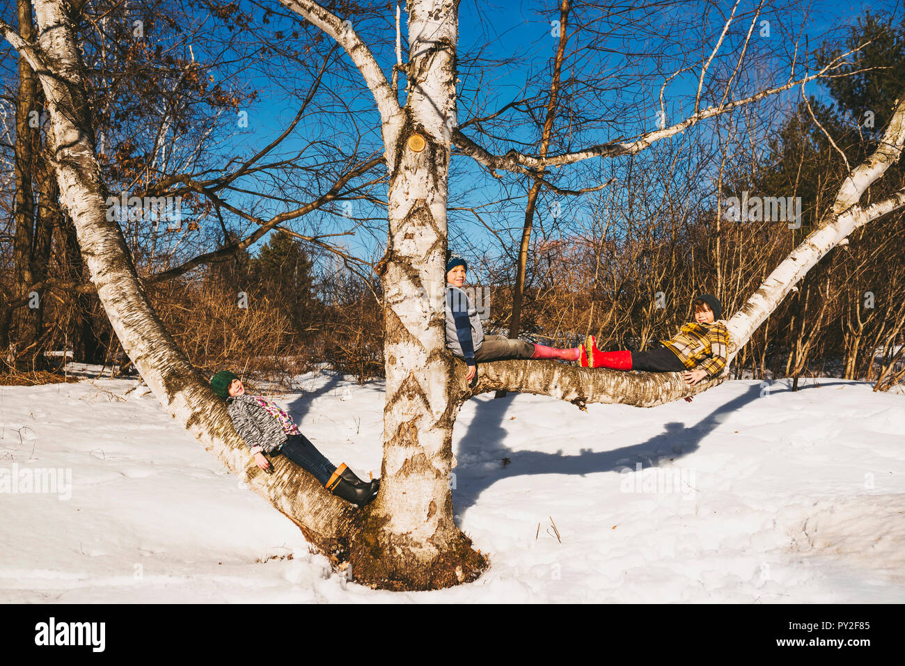 Three children sitting in a tree, United States Stock Photo - Alamy