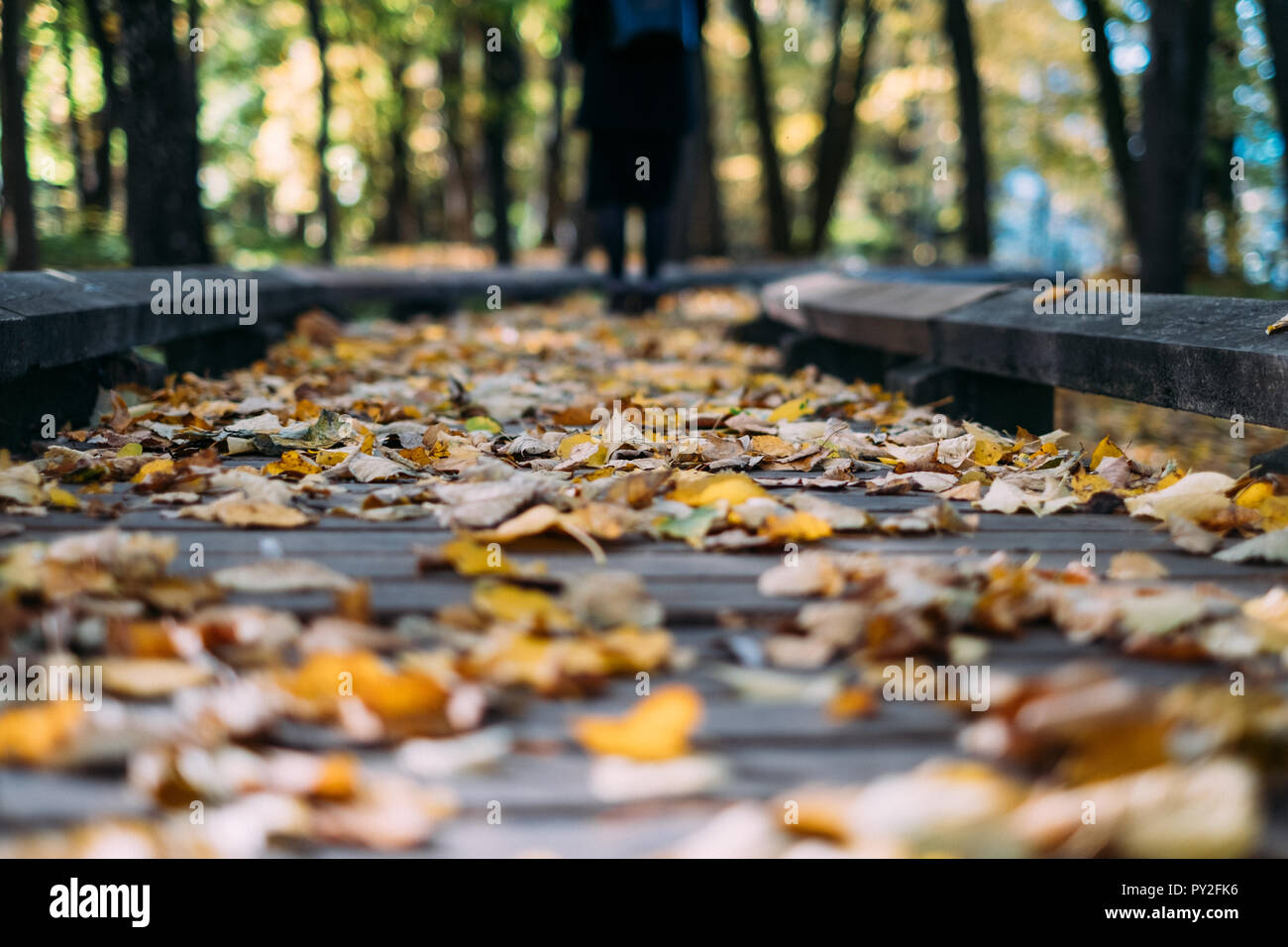 Footpath autumn leaf colour hi-res stock photography and images - Alamy