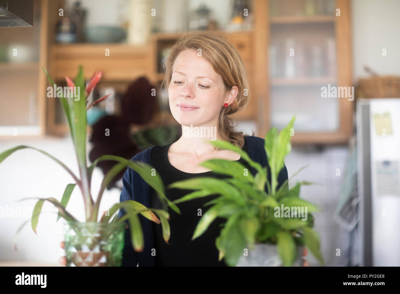 Two Pot Plants High Resolution Stock Photography and Images - Alamy