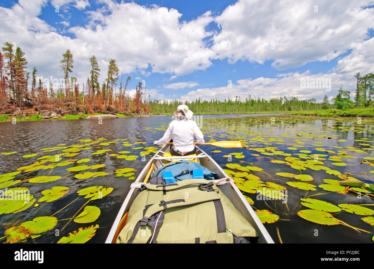 Canoer on Cross Bay Lake in the Boundary Waters Stock Photo - Alamy