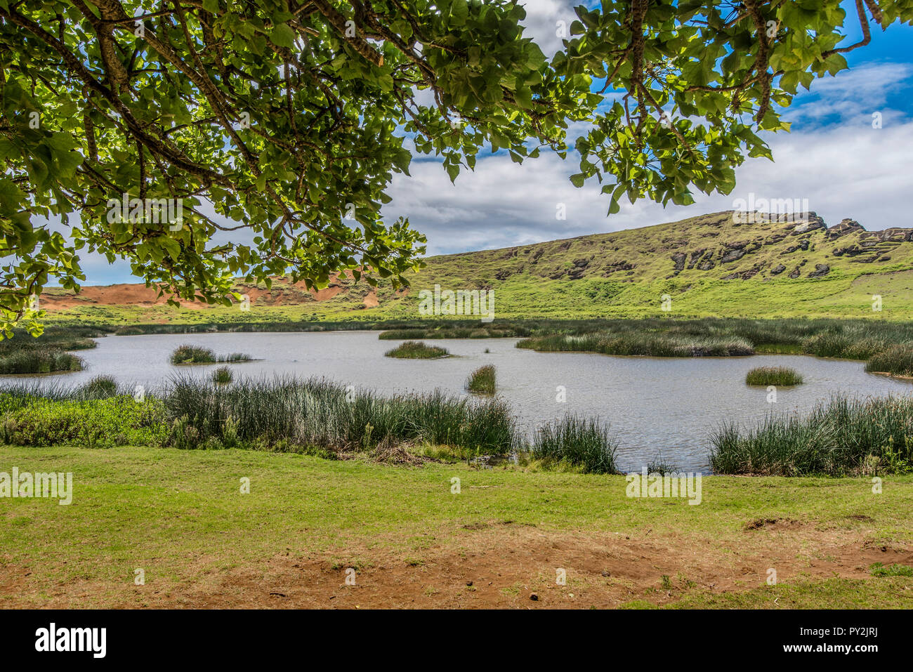 Crater of the Rano Raraku volcano with underground lake and moai Stock ...