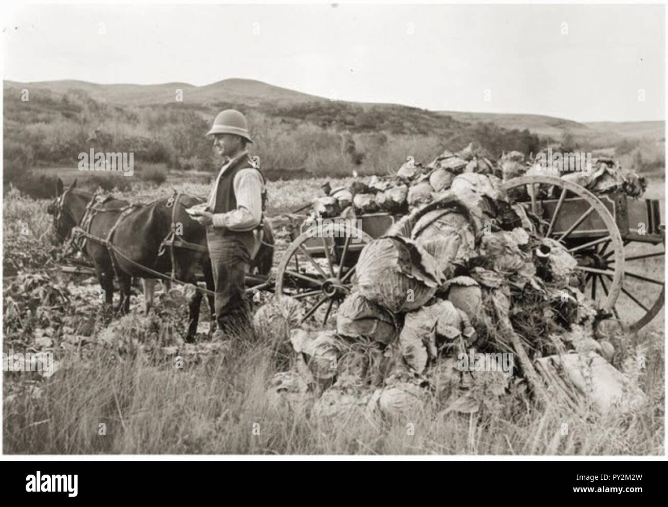 Cameron montana hi-res stock photography and images - Alamy