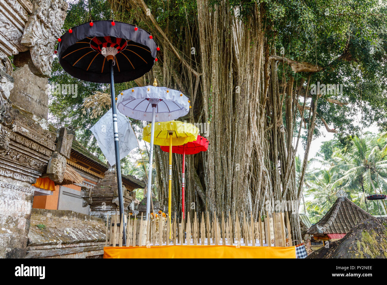 Colorful umbrellas near sacred banyan tree at Pura Kehen, Balinese ...