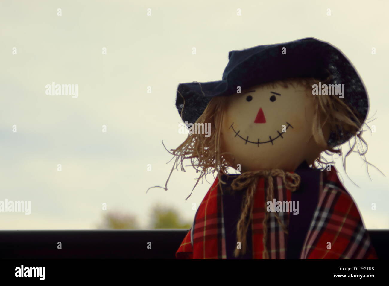 Country scarecrow in red and blue against a light sky, shot in ...