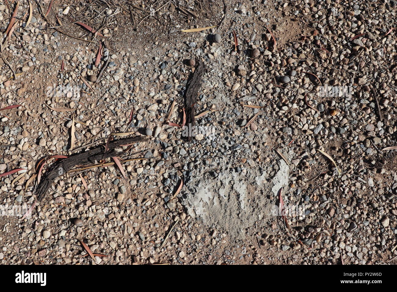 Ground Clutter Texture from Grass and Concrete to Sand, Sticks and ...