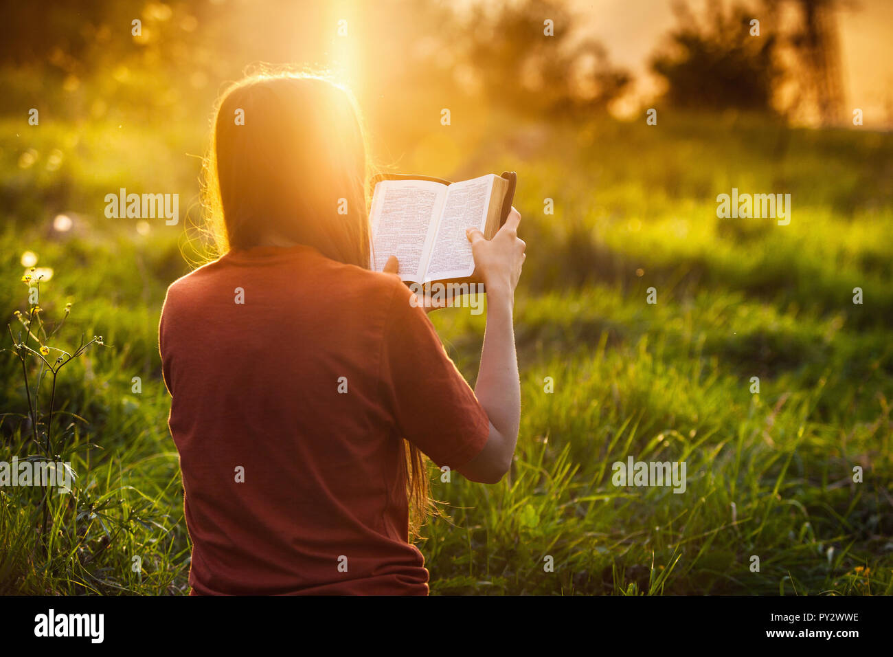 Girl reading the Bible at sunset Stock Photo - Alamy