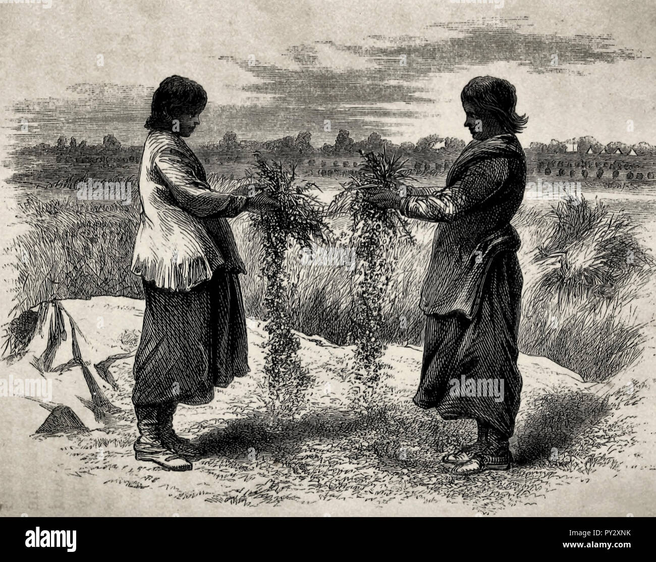 Winnowing hi-res stock photography and images - Alamy