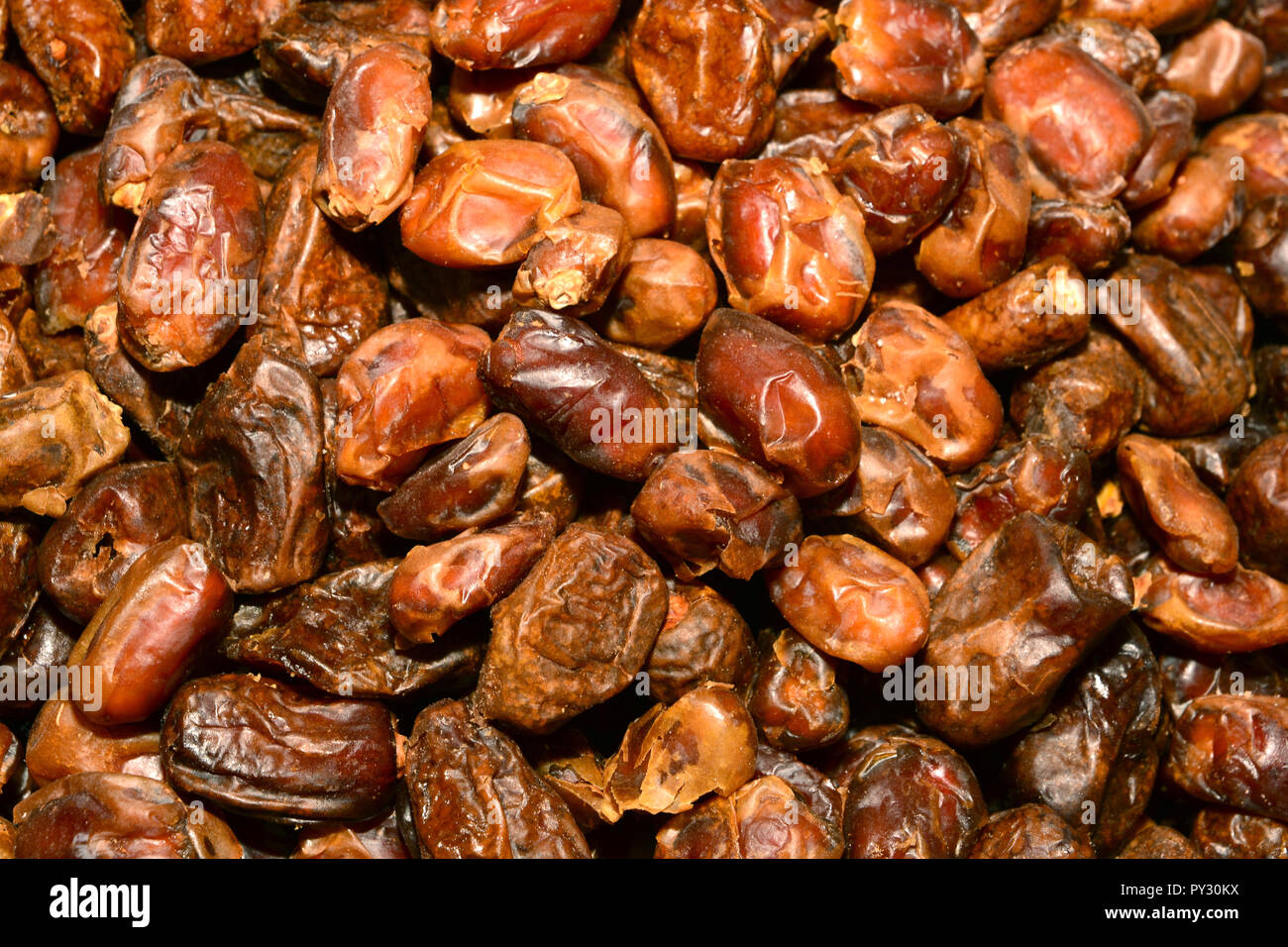 Dried dates (fruits of date palm Phoenix dactylifera). Clipping paths ...